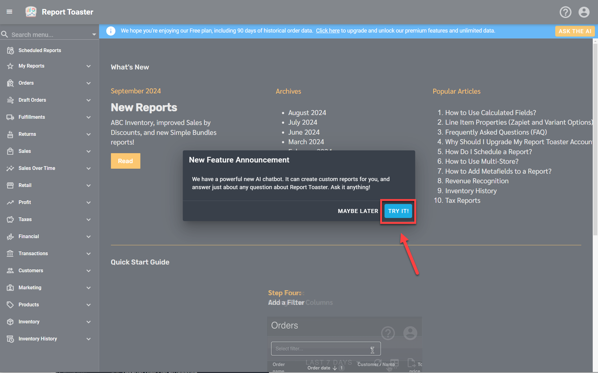 How to Use the Report Toaster AI Assistant