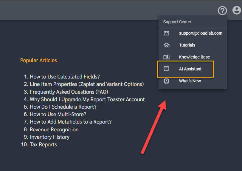 How to Use the Report Toaster AI Assistant
